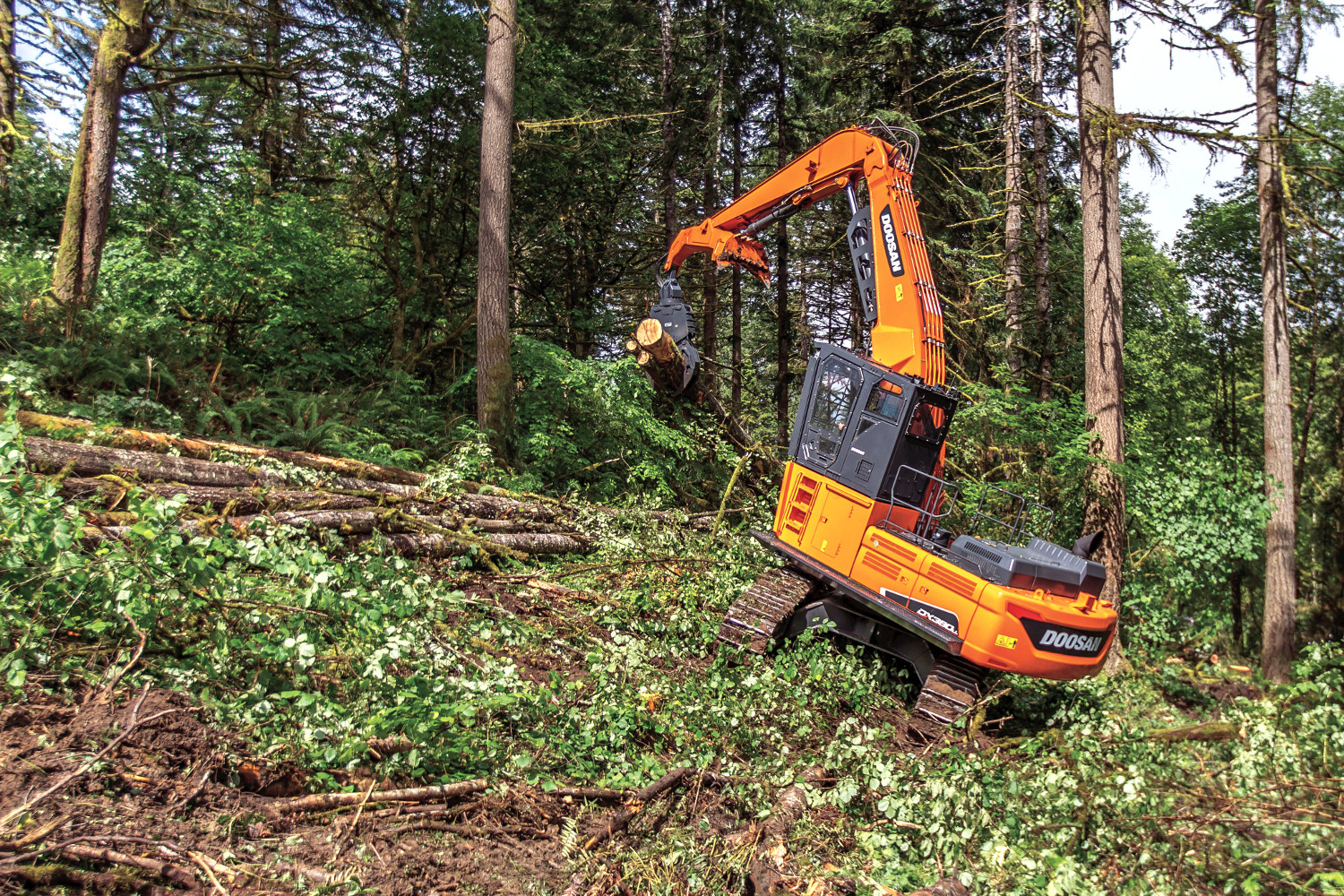 Newest, biggest Doosan DX380LL-5 log loader supplies high swing torque ...